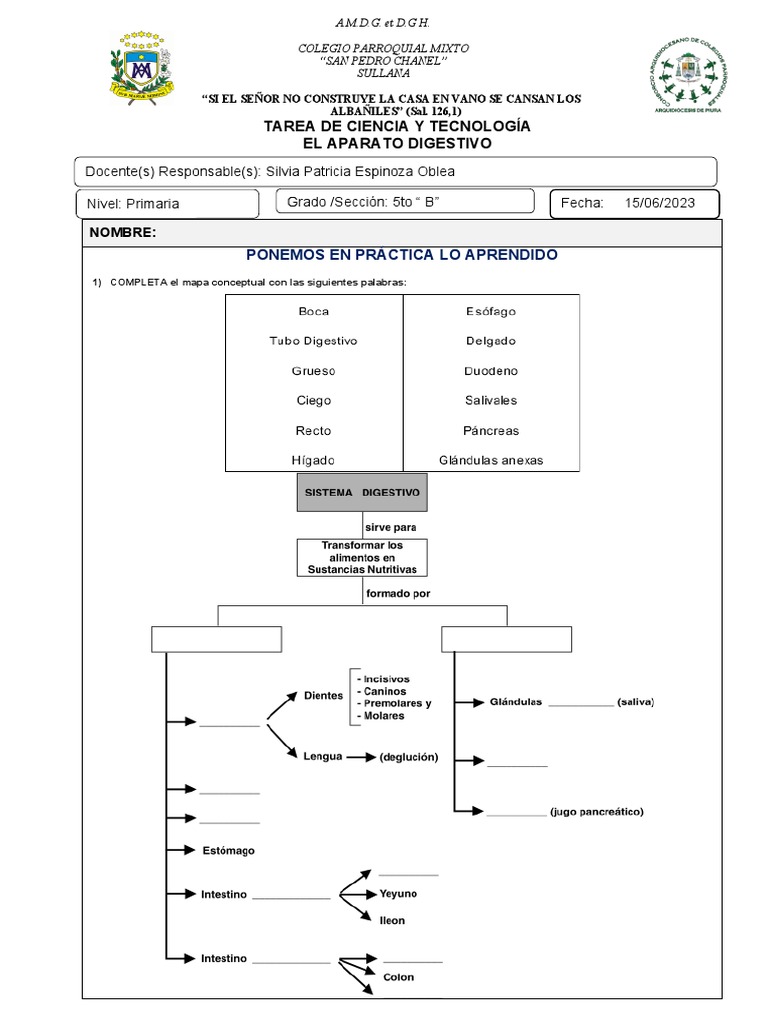 Tarea Sistema Digestivo | PDF