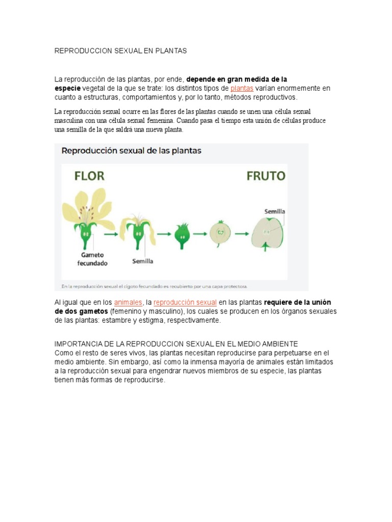 REPRODUCCION SEXUAL EN PLANTAS Cartelera 8 | PDF | Reproducción | Plantas