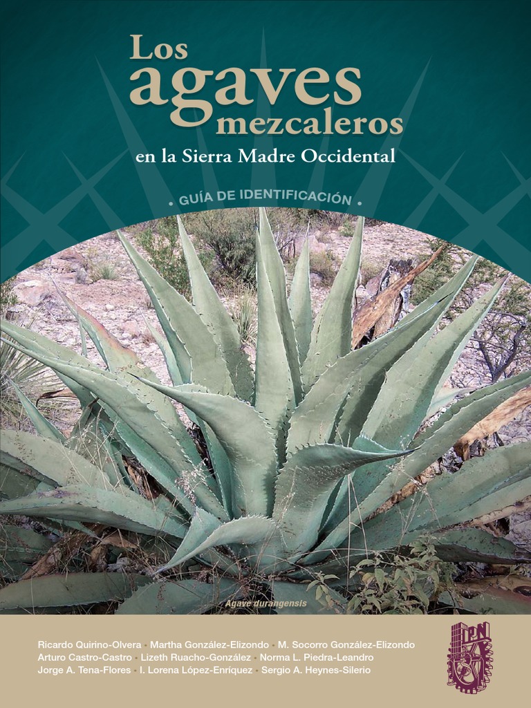 Agaves mezcaleros_IPN_2023 | PDF | Ramas de la botánica | Botánica