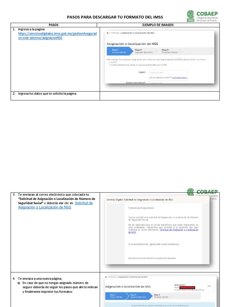 Pasos para Formato Del Imss | PDF