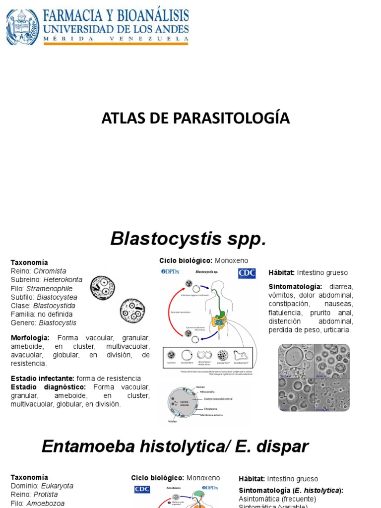 Atlas de Parasitologia | Descargar gratis PDF | Medicina CLINICA ...