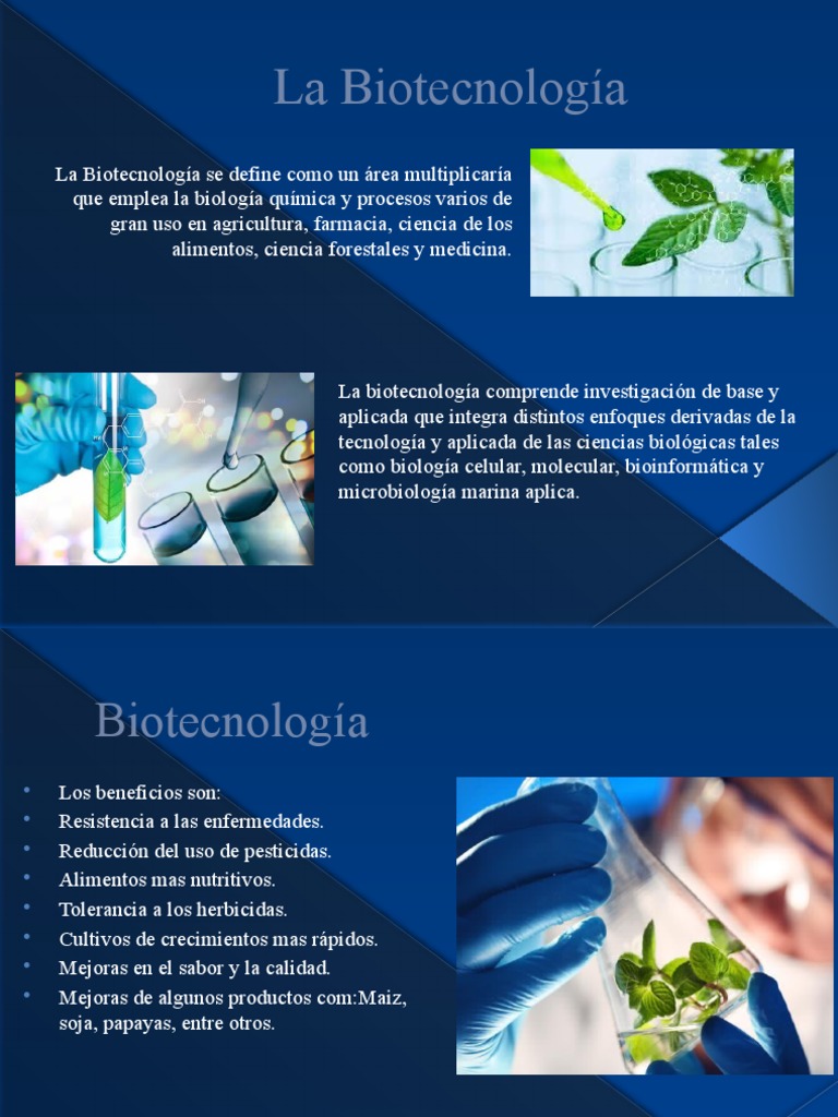 Biotecnología y sus aplicaciones alimentarias | PDF | Agricultura ...