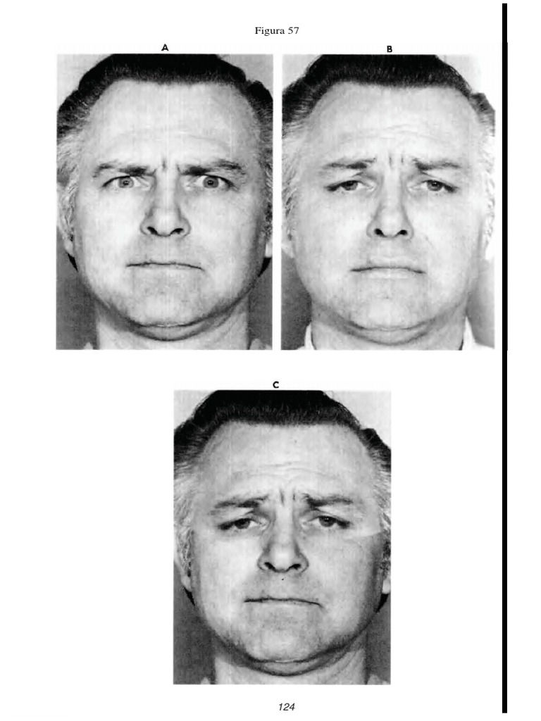 Unmasking The Faces - Paul Ekman (136-212) .En - PT | PDF | Rosto | Emoções