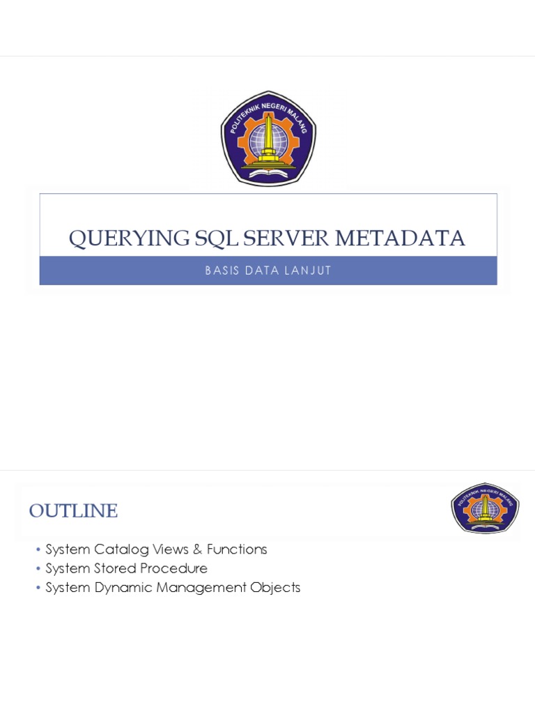 Querying Sql Server Metadata Pdf 