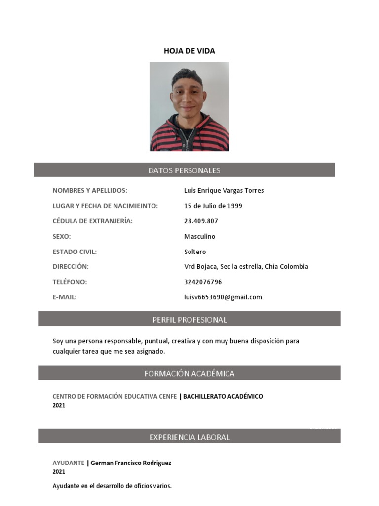 Hoja de Vida Luis Vargas | PDF