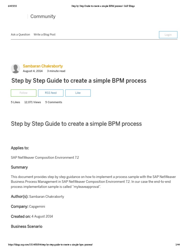 SAP BPM Process Guide | PDF | Business Process Management | Information Science