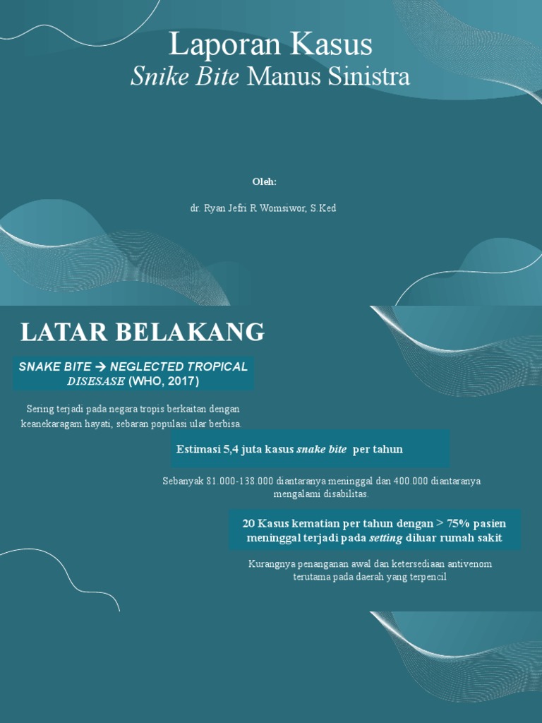 Lapsus Snake Bite Fix | PDF