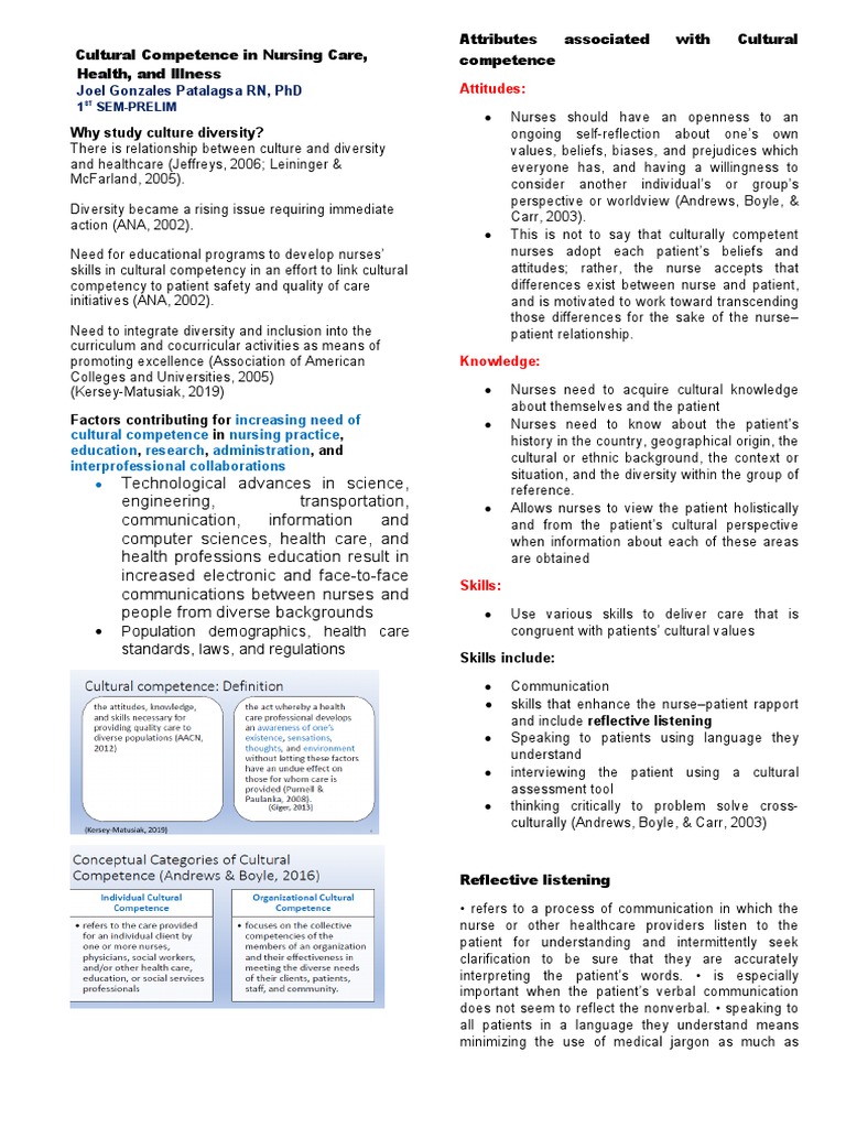 Cultural Competence in Nursing Care PART 1 | PDF