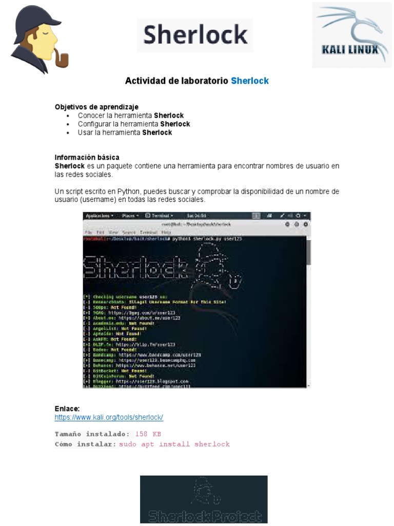 Práctica de Laboratorio - Sherlock | PDF