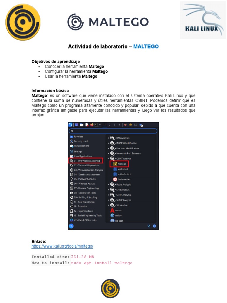 Práctica de Laboratorio - MALTEGO | PDF