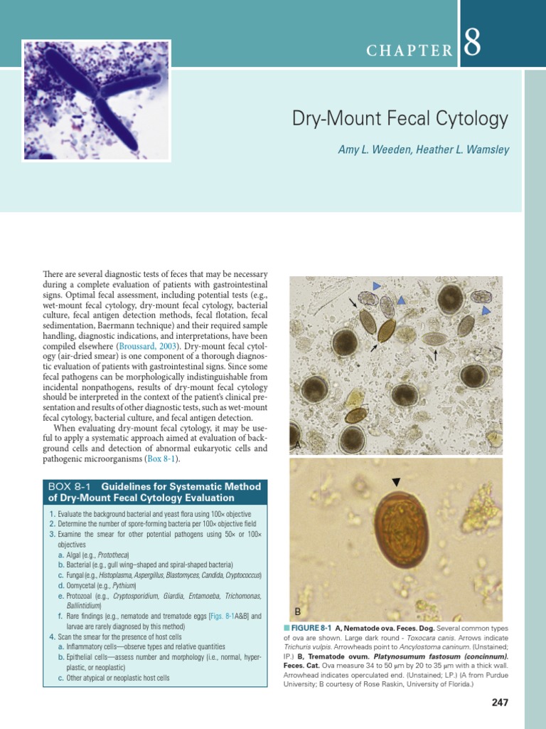 Canine Fecal Cytology Techniques | PDF