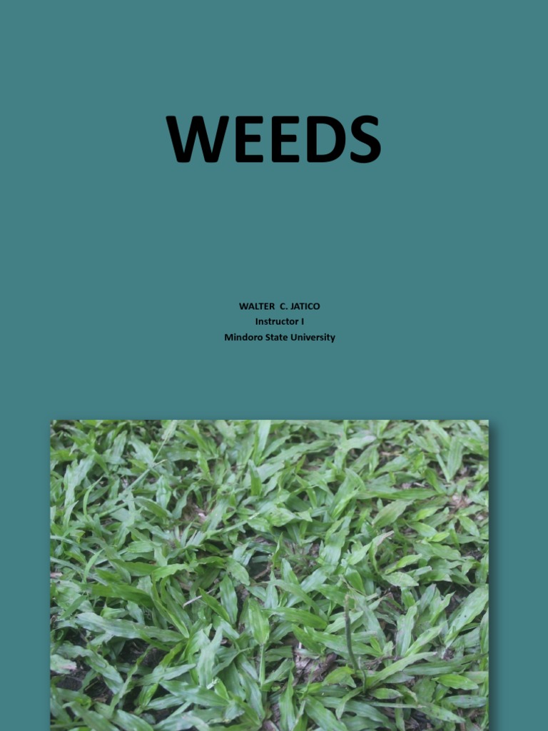 Weeds | PDF
