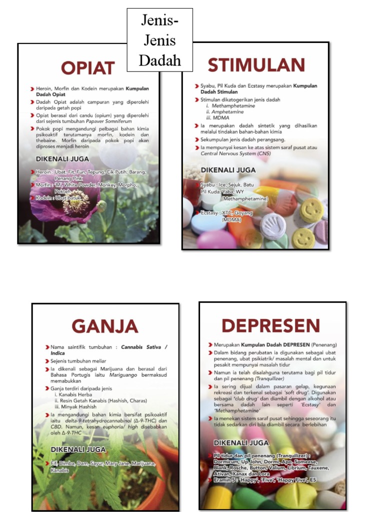 Jens-Jenis Dadah | PDF