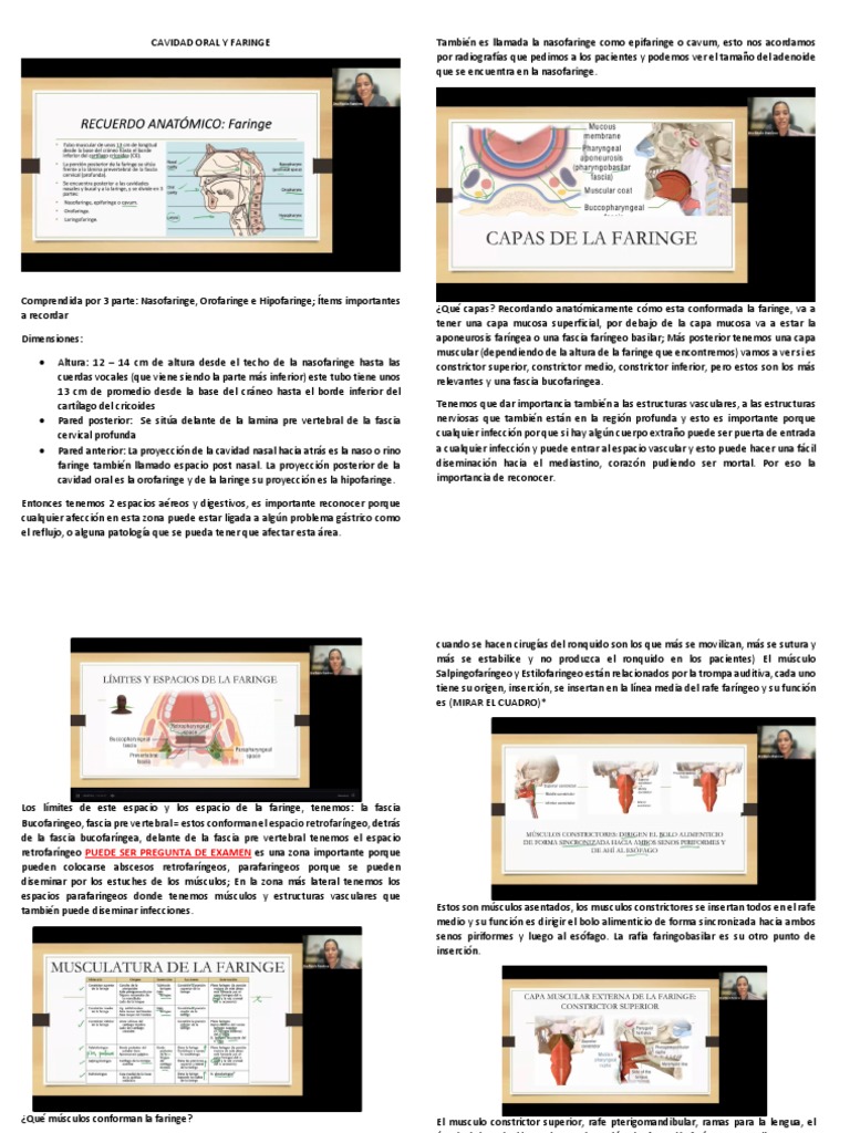 Anatomía de Nasofaringe y Orofaringe | PDF | Laringe | Cabeza y cuello ...