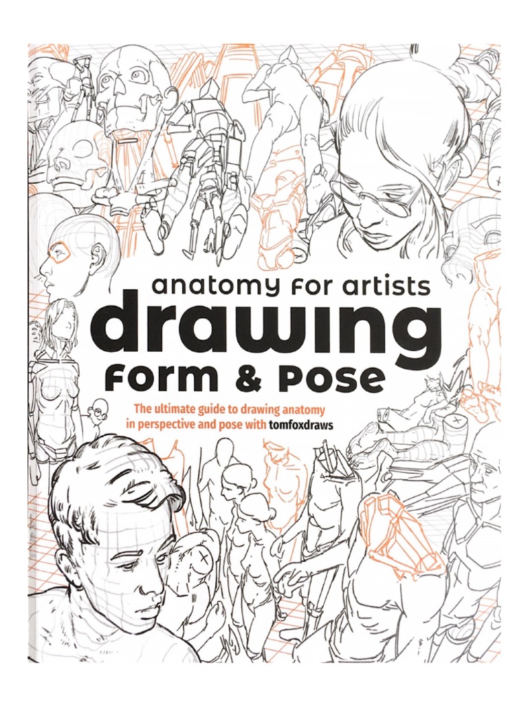 Anatomy For Artists Drawing Form Pose The Ultimate Guide To Drawing