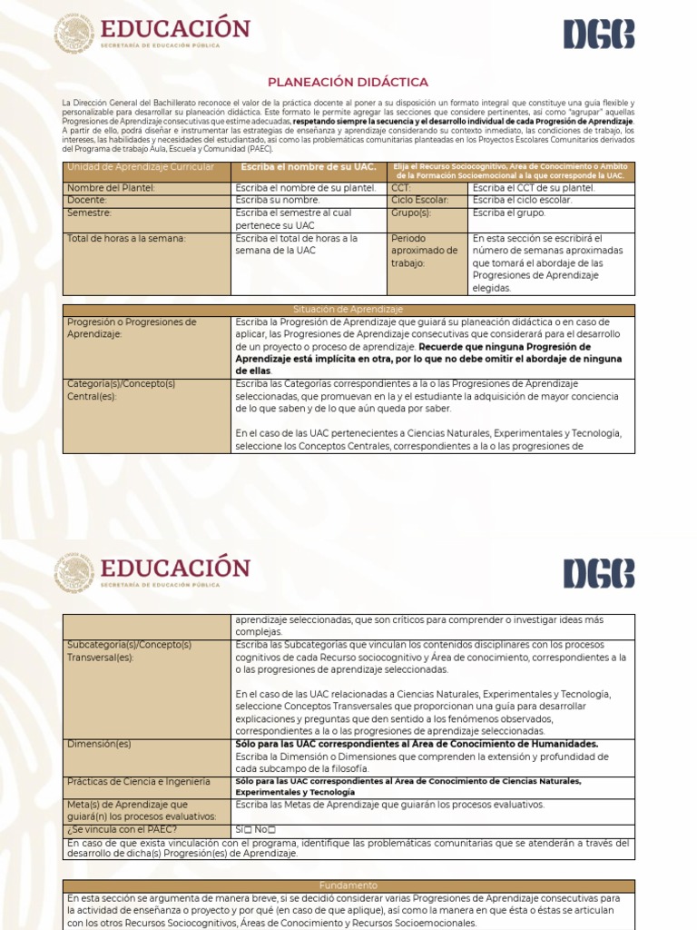NEM Formato de Planeación Didáctica VF | PDF