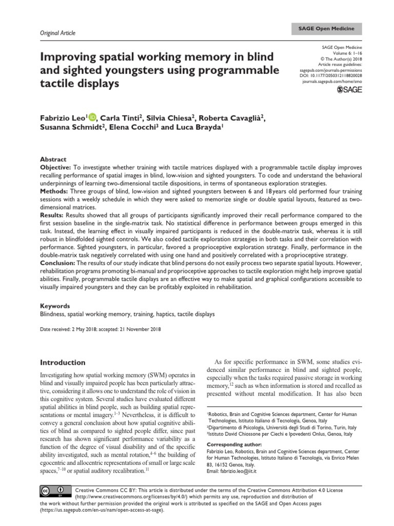 Improving Spatial Working Memory in Blind and Sighted Youngsters Using ...
