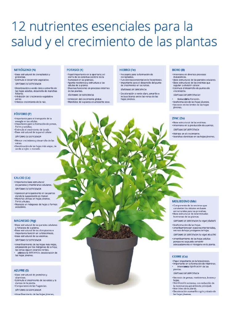 pH y Nutrientes en Suelos para Plantas | PDF | Fertilizante | Boro