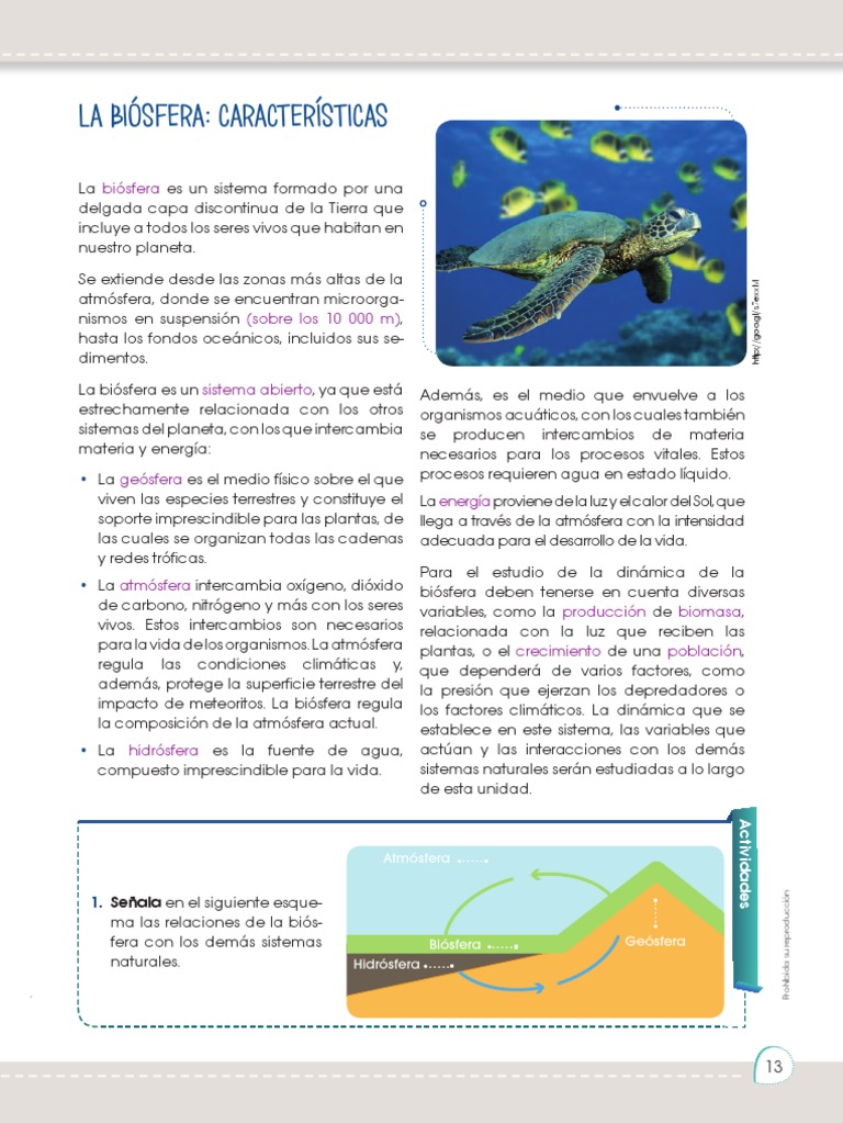 Biosfera y Ecosistemas | PDF | Entorno natural | Tierra