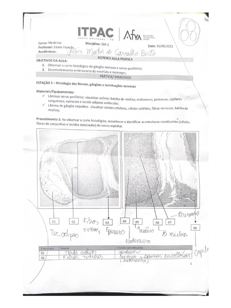 Documentos Escaneados | PDF