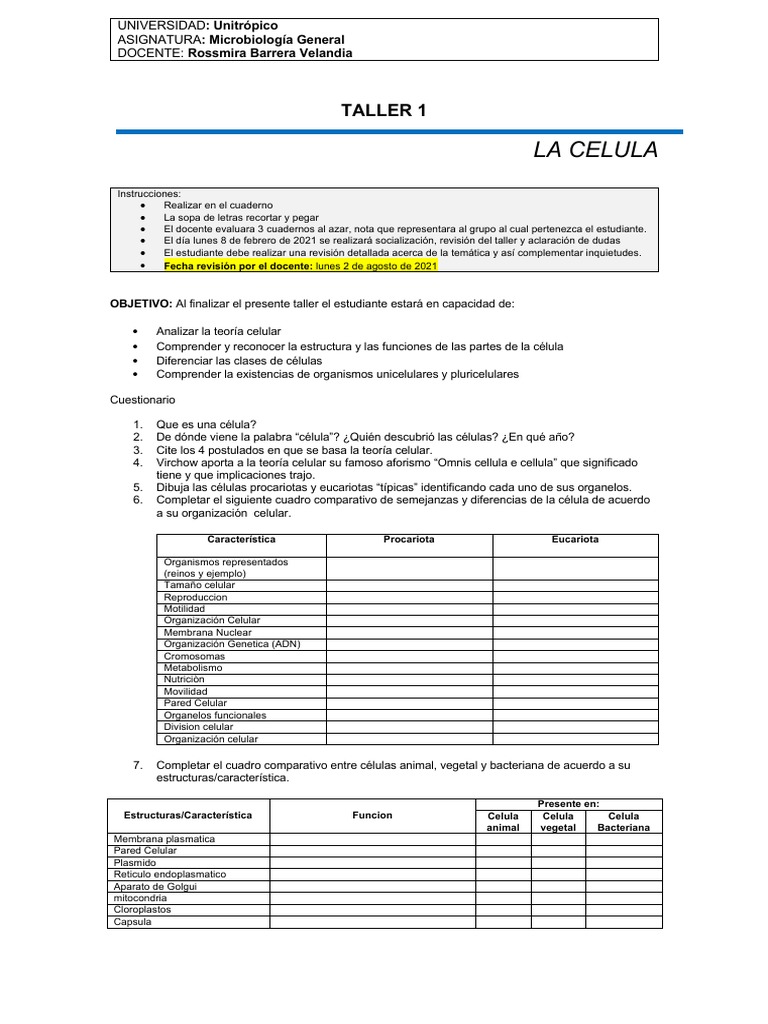 Taller 1. La Celula | PDF | Biología Celular) | Eucariotas