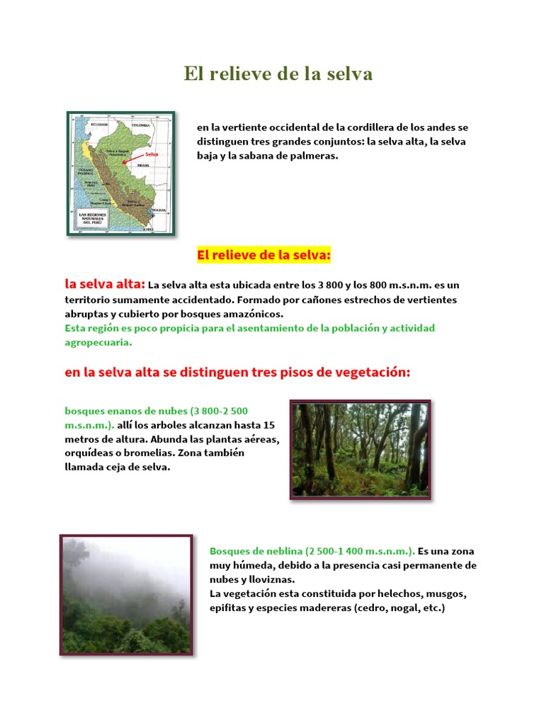 El Relieve de La Selva | PDF | Selva | río Amazonas