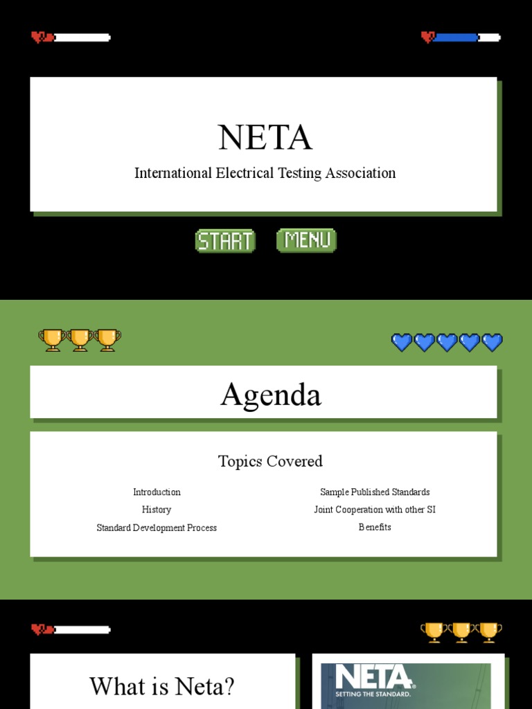 NETA | PDF