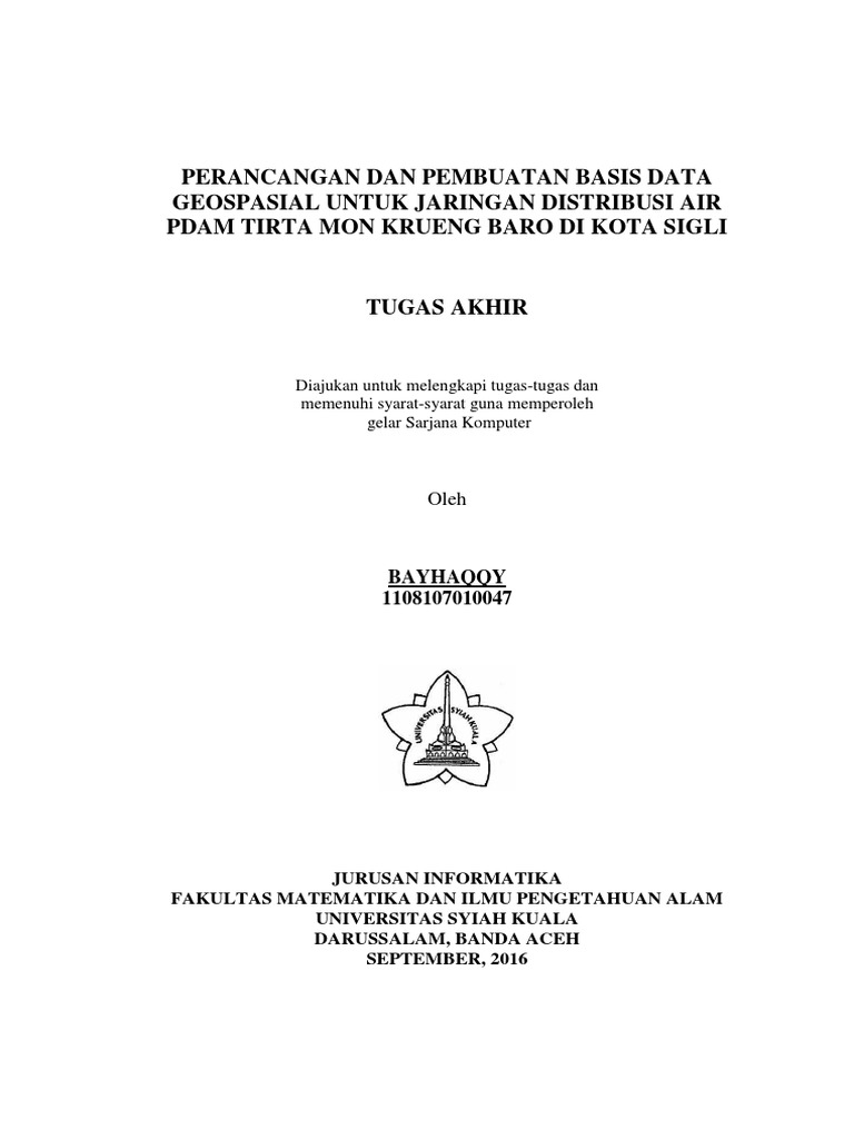 Basis Data Geospasial PDAM Sigli | PDF