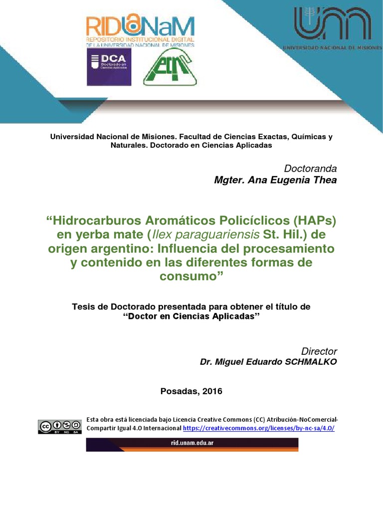 THEA Ana Eugenia_2016_Hidrocarburos Aromáticos Policíclicos | PDF ...