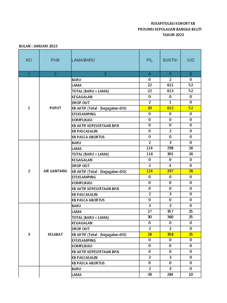 Pws Dan Kohort KB 2023-3 | PDF