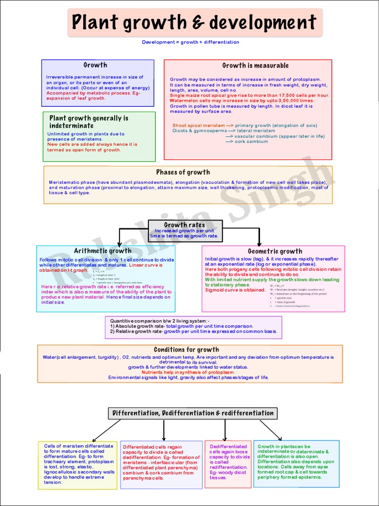 Plant Growth and Development Mind Map | PDF