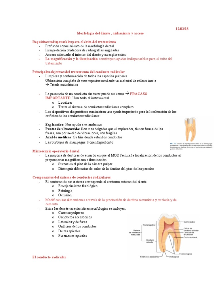 Preguntas Endodoncia | PDF