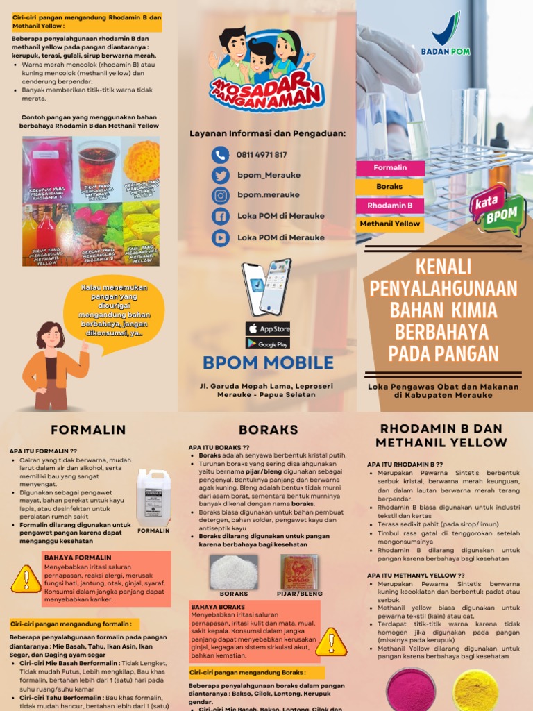 Leaflet Bahan Kimia Berbahaya Pada Pangan | PDF
