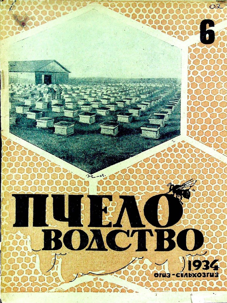 Pchelovodstvo 1934 No 06 | PDF