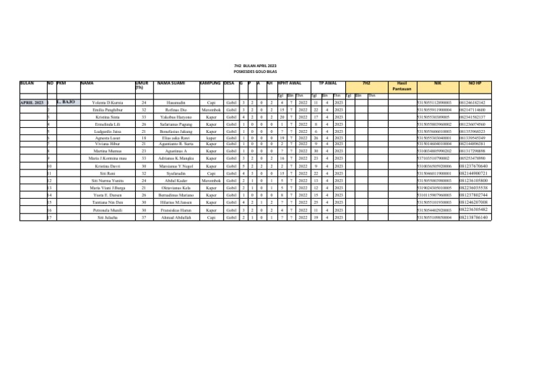 2H2 MEI GoloBilas | PDF