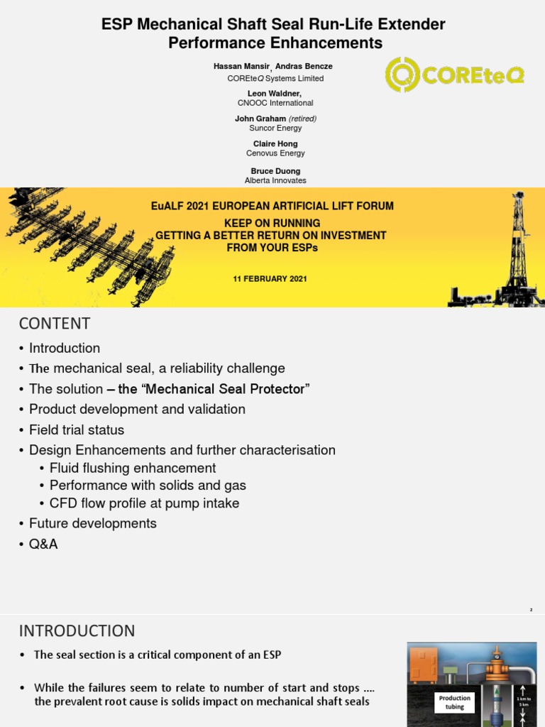 ESP Seal Reliability Solutions | PDF