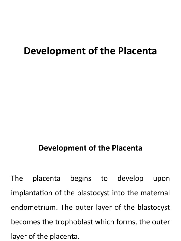 Development of Placenta | PDF