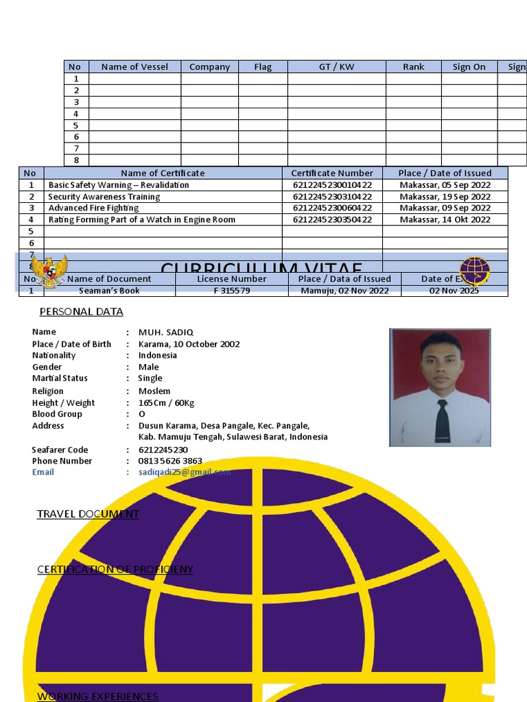 contoh cv | PDF