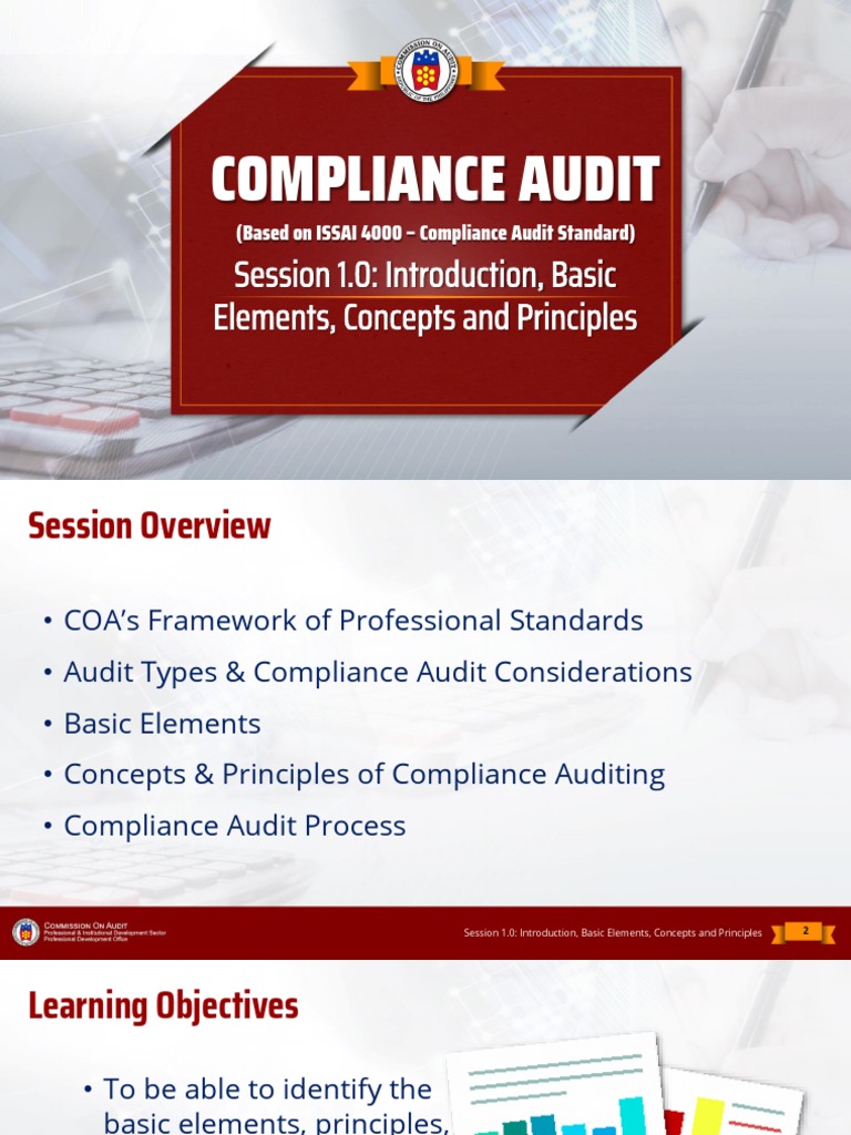 Compliance Audit Basics and Standards | PDF
