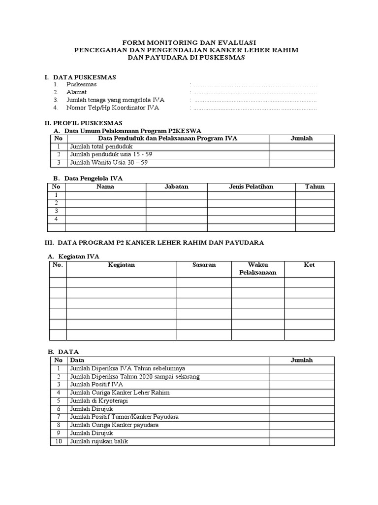 Form Monev Iva | PDF