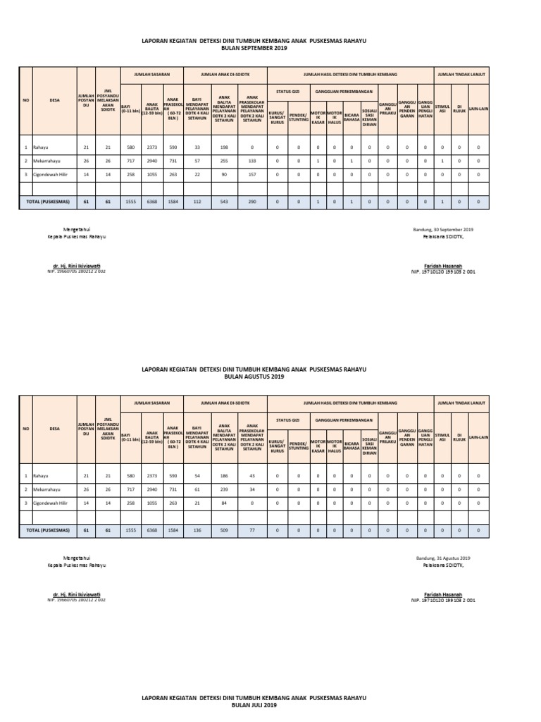 Laporan Sdidtk 2019 | PDF