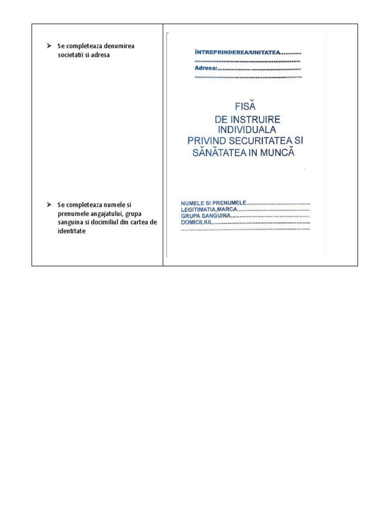 Completare Fisa SSM La Angajare | PDF