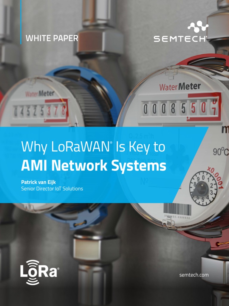 LoRaWAN AMI Whitepaper Web Locked | PDF