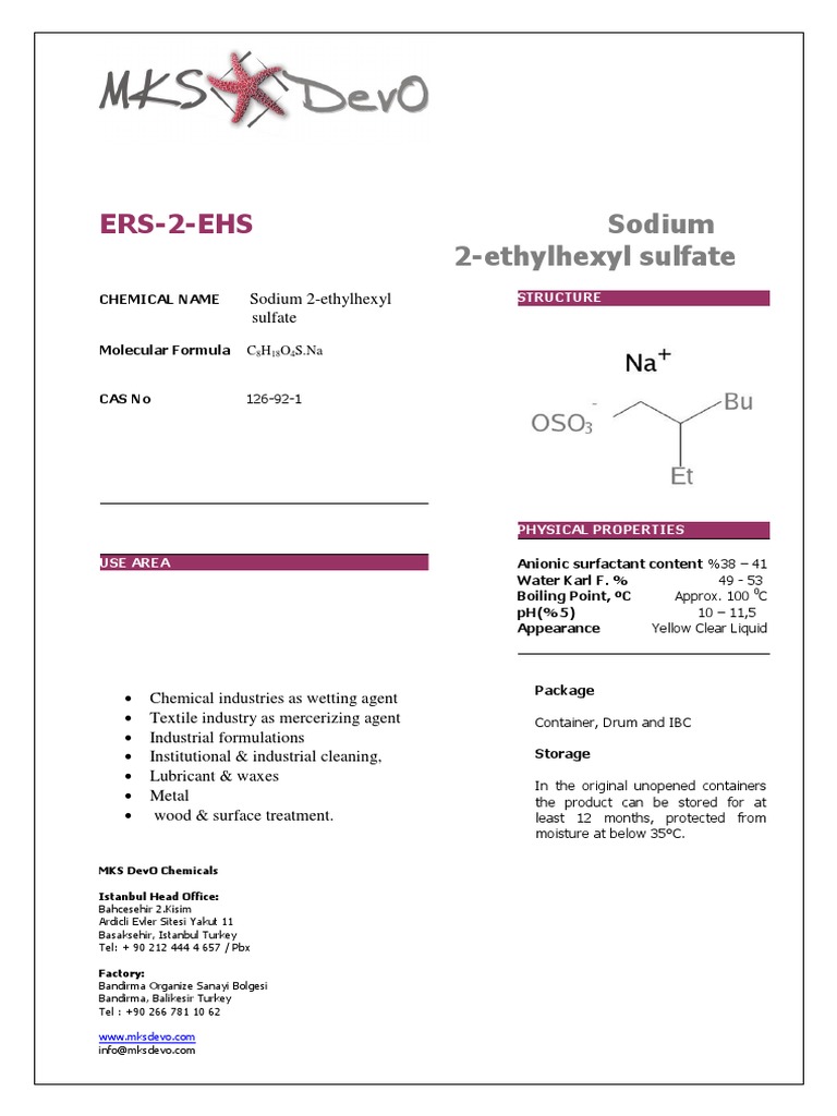 Ers 2 Ehs - TDS Eng | PDF