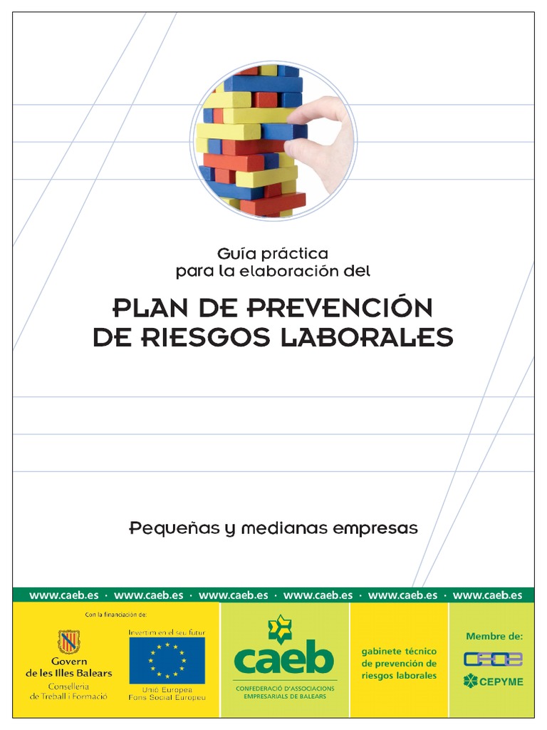 Guia - Practica - Elaboracion - Plan - PRL | PDF