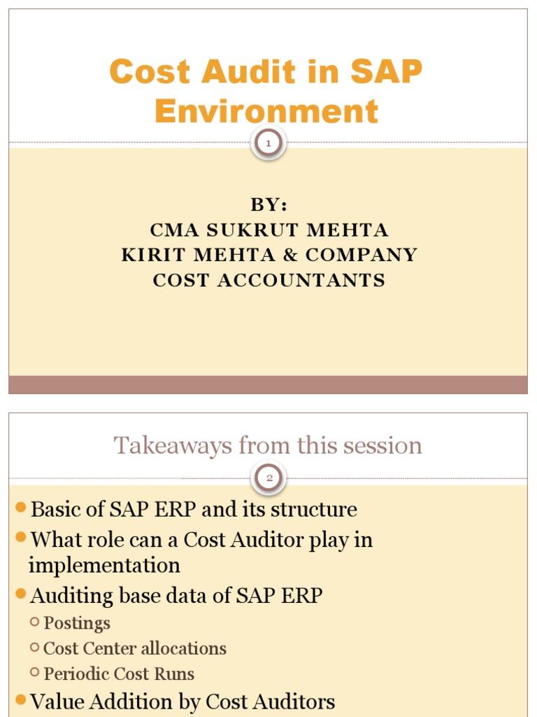Cost Auditing in SAP ERP Systems | PDF