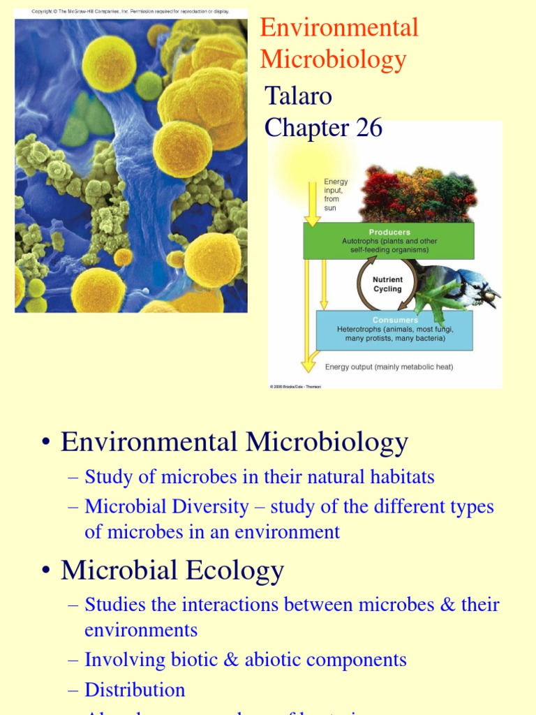 Environmental Microbiology | PDF | Photosynthesis | Cyanobacteria