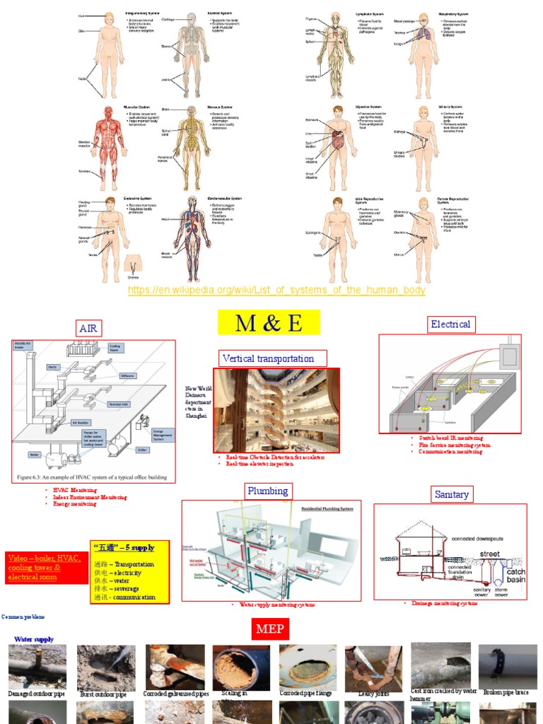 Lecture 6A - M & E - 2023 | PDF