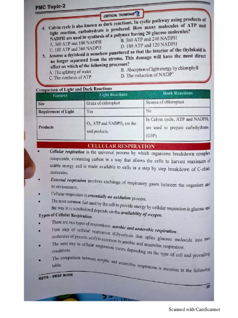 Respiration Notes Mdcat Kips | PDF