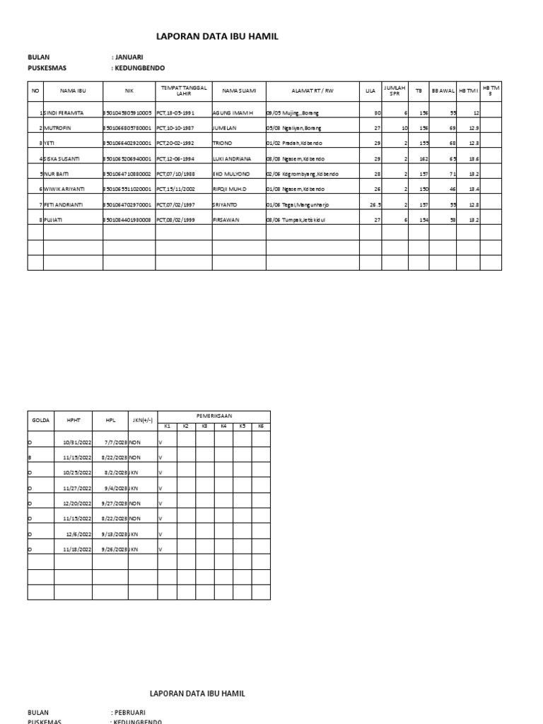 Format Bumil 2023 | PDF